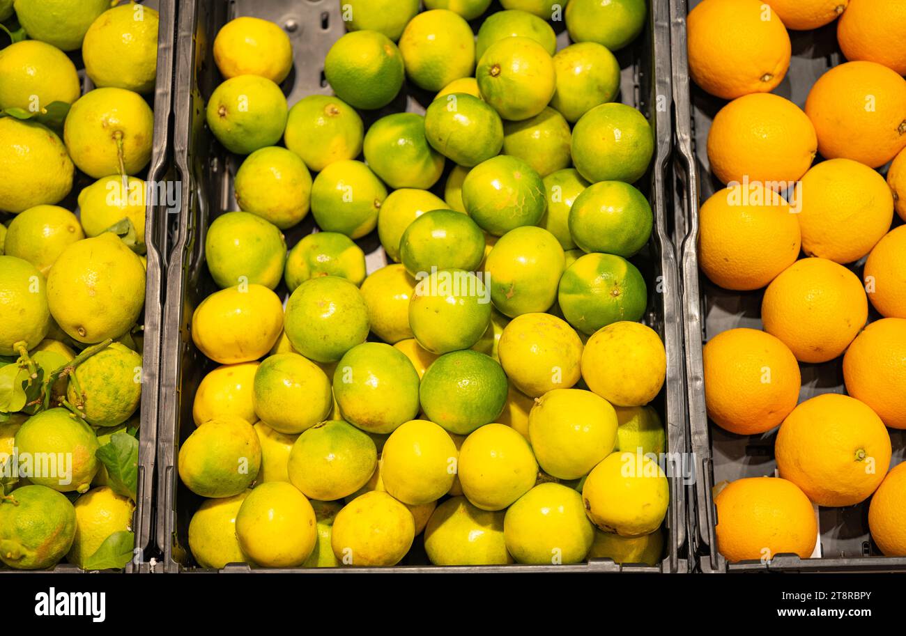 citrus fruits in the store Stock Photo - Alamy