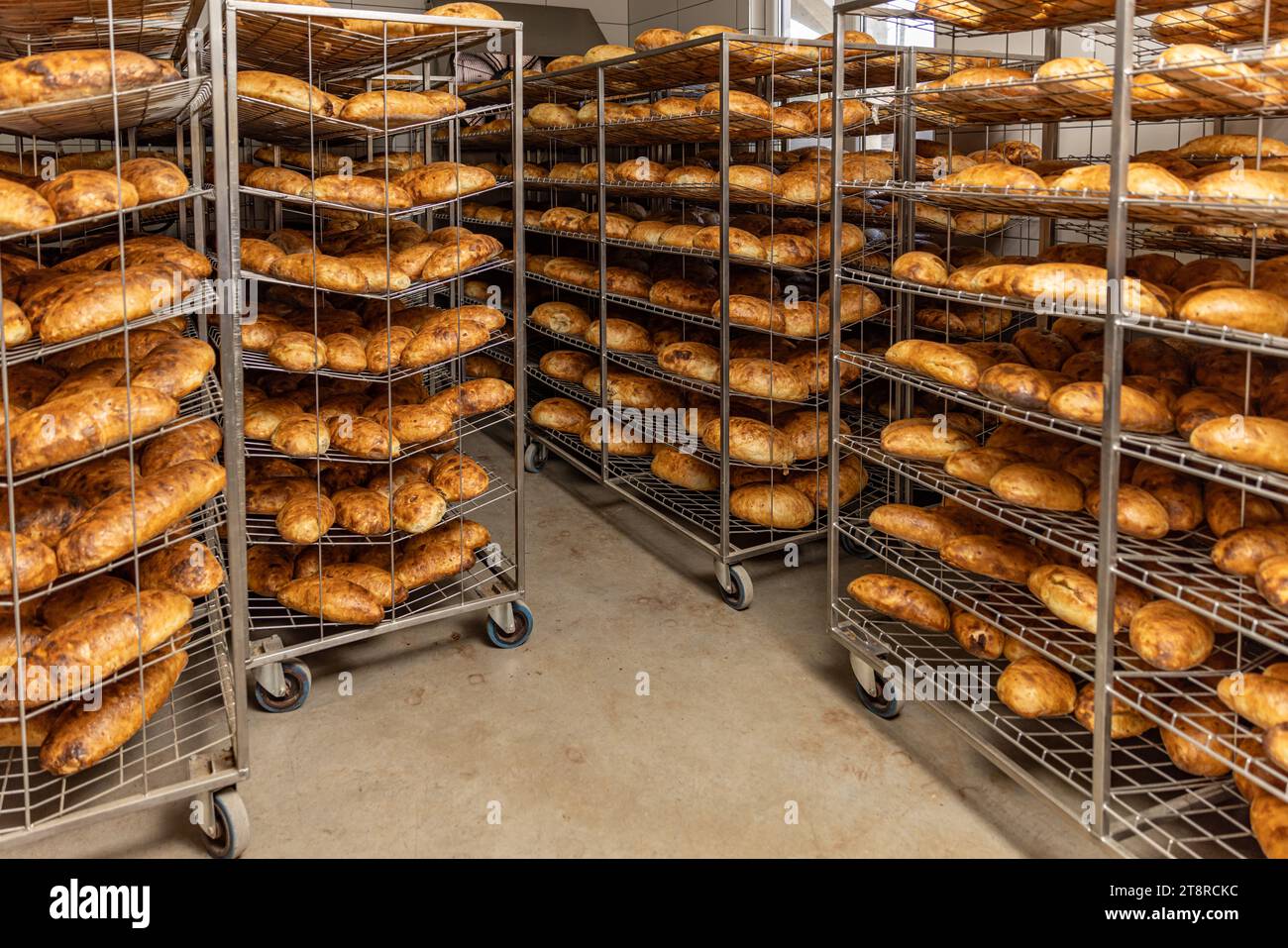 Freshly baked bread stacked and ready for packaging at factory Stock ...