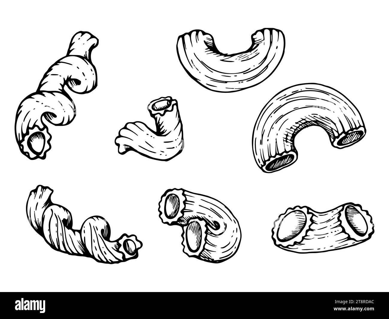 Hand drawn vector ink illustration. Pasta Italian cuisine elbows ...