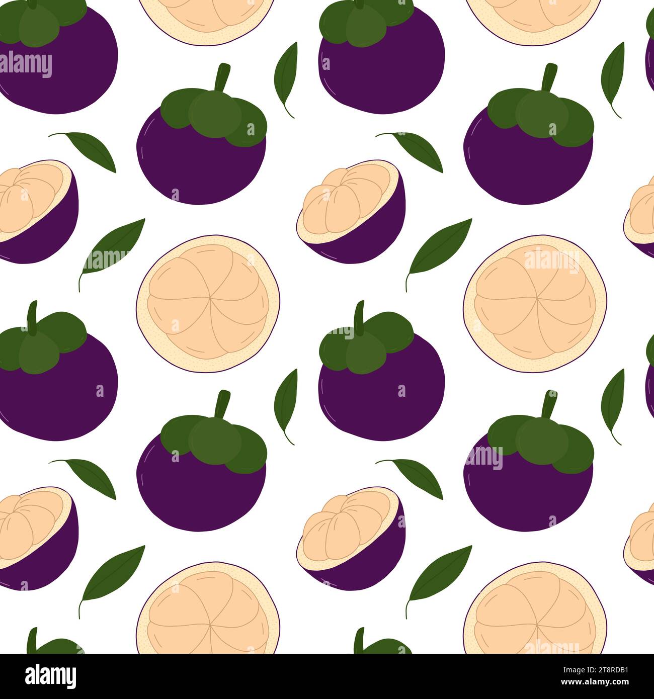 Mangosteen fresh tropical fruit Stock Vector Images - Alamy