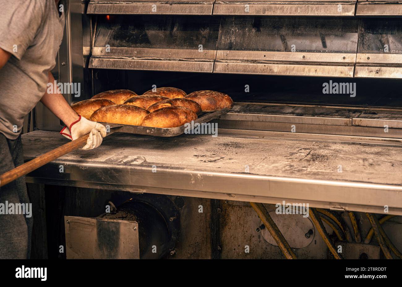 Baked breads from hot oven. Bakery food factory concept Stock Photo - Alamy