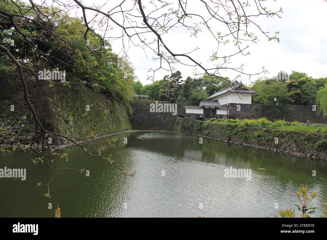 Edo Castle Remains/Imperial Palace Gardens, Tokyo, Japan Stock Photo ...