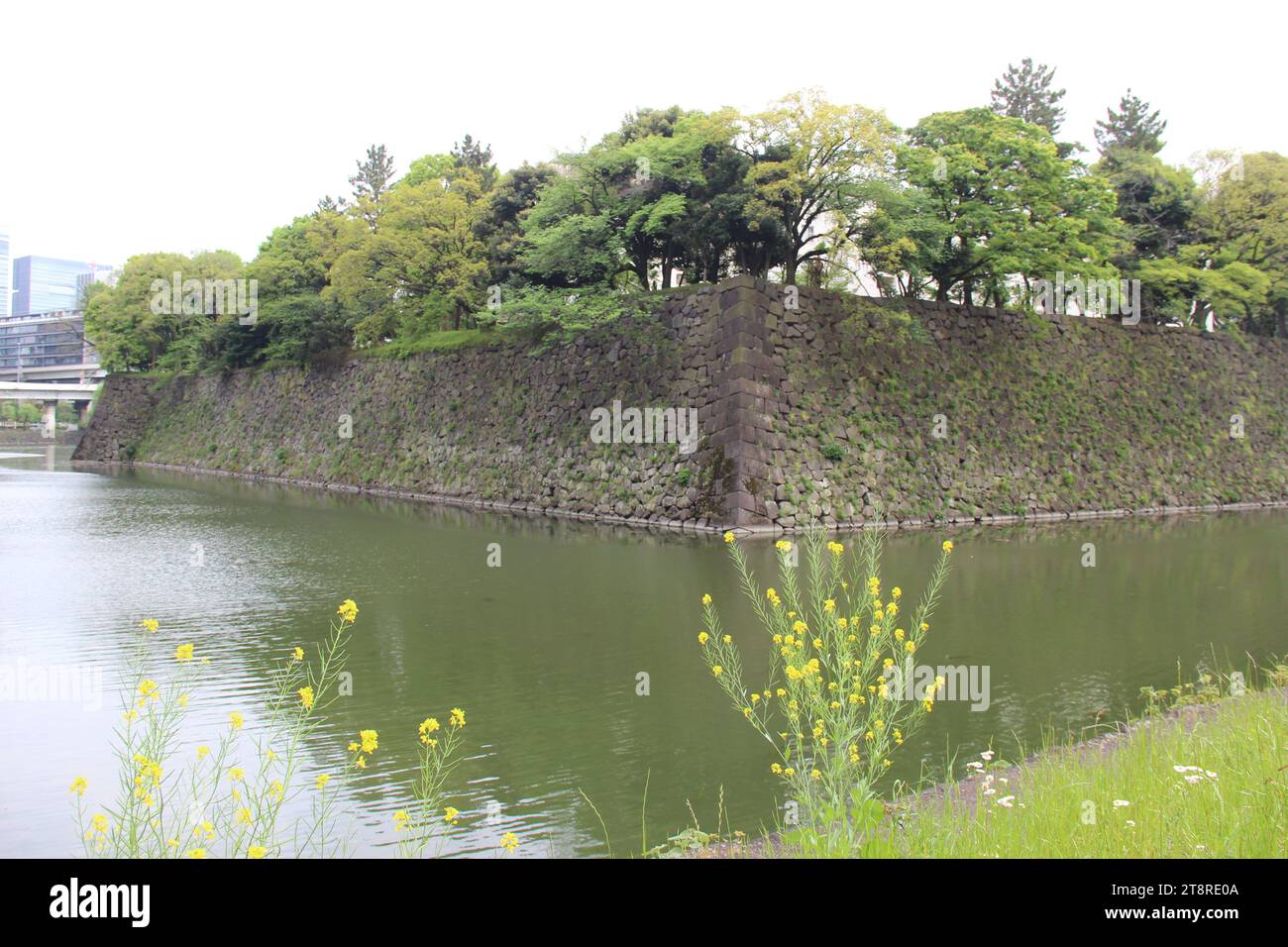 Edo Castle Remains/Imperial Palace Gardens, Tokyo, Japan Stock Photo ...