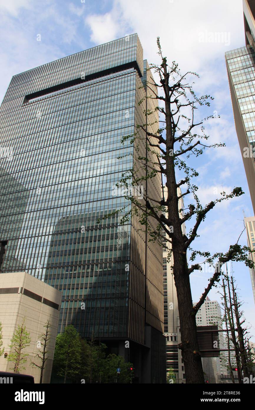 Tokyo Skyscraper, Tokyo, Japan Stock Photo - Alamy