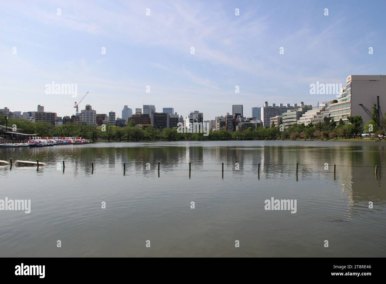 Shinobazu Pond, Ueno Park, Tokyo, Japan Stock Photo - Alamy