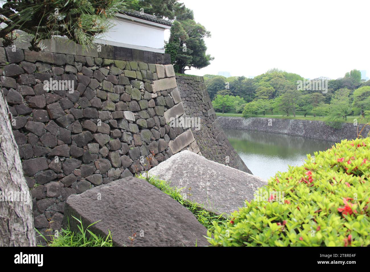 Edo Castle Remains/Imperial Palace Gardens, Tokyo, Japan Stock Photo ...
