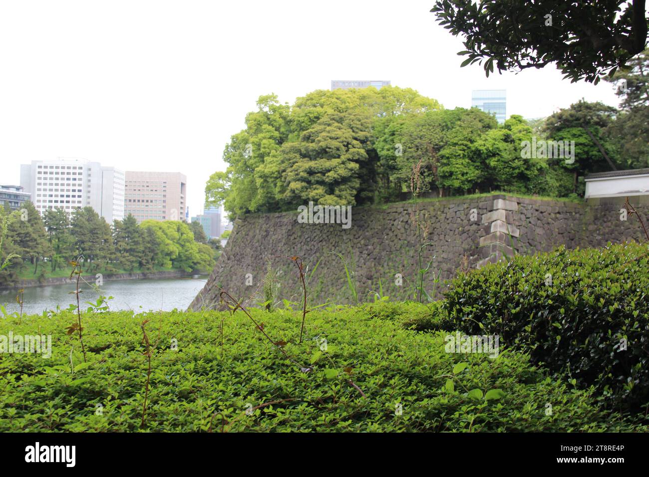 Edo Castle Remains/Imperial Palace Gardens, Tokyo, Japan Stock Photo ...