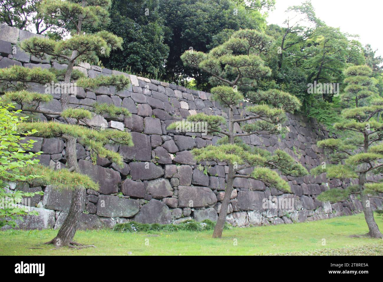 Edo Castle Remains/Imperial Palace Gardens, Tokyo, Japan Stock Photo ...