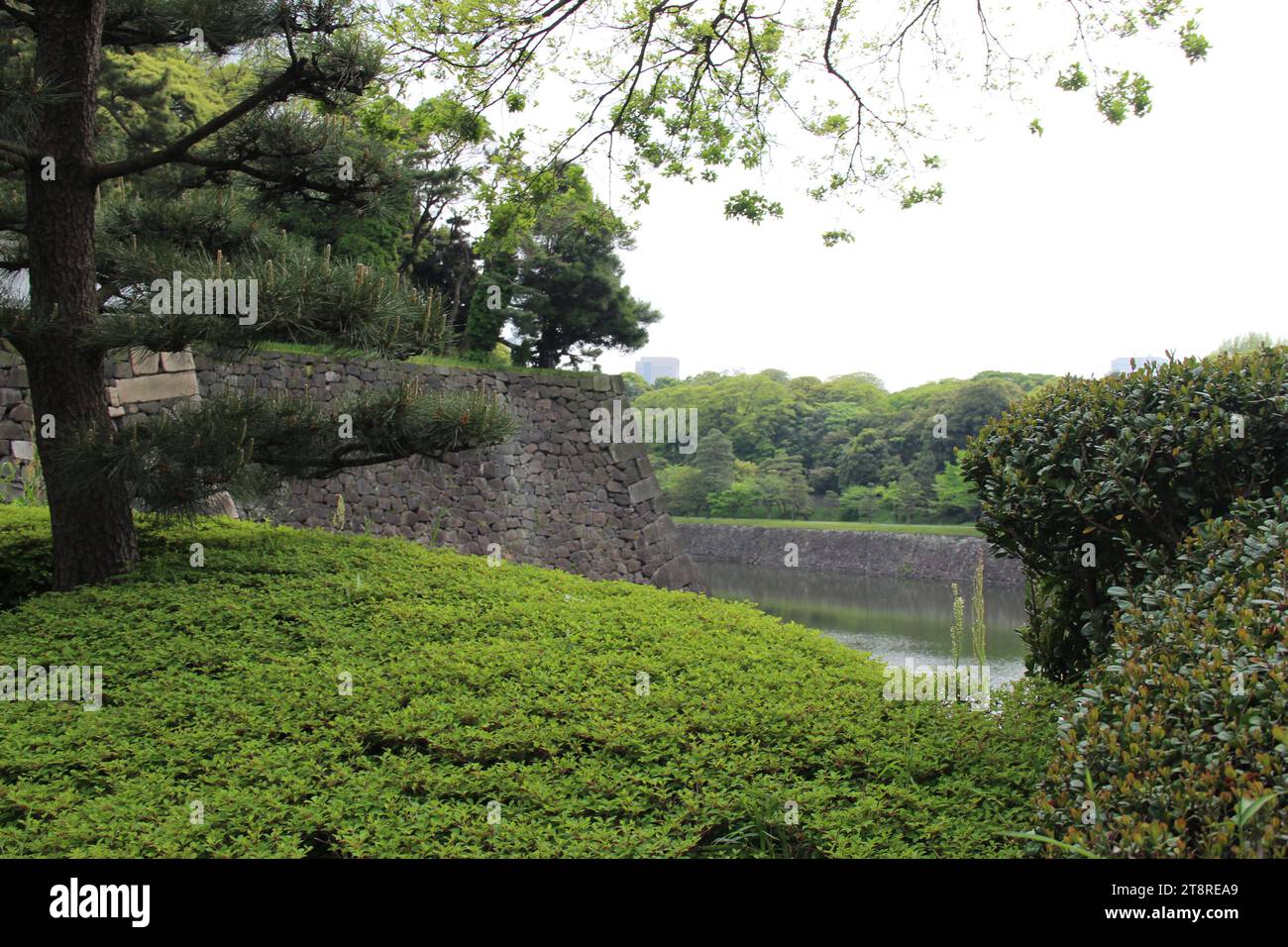 Edo Castle Remains/Imperial Palace Gardens, Tokyo, Japan Stock Photo ...