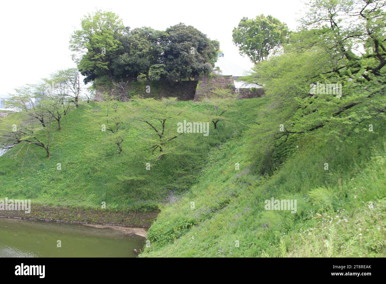 Edo Castle Remains/Imperial Palace Gardens, Tokyo, Japan Stock Photo ...