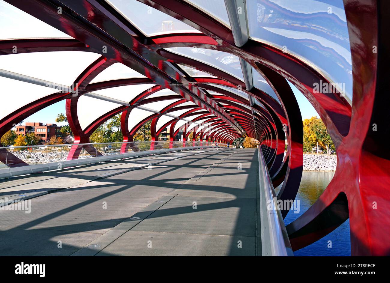 Peace Bridge. Calgary, The bridge is a landmark structure connecting ...