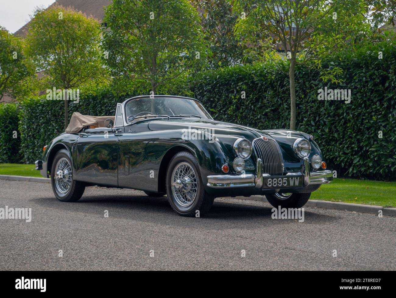 Sports 1958 1959 hi-res stock photography and images - Alamy