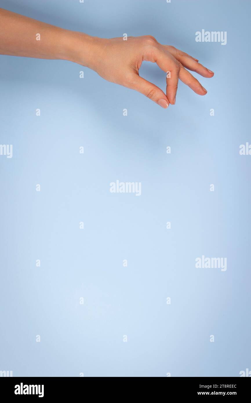 Hand gesture. Woman hand holding something on light blue background ...