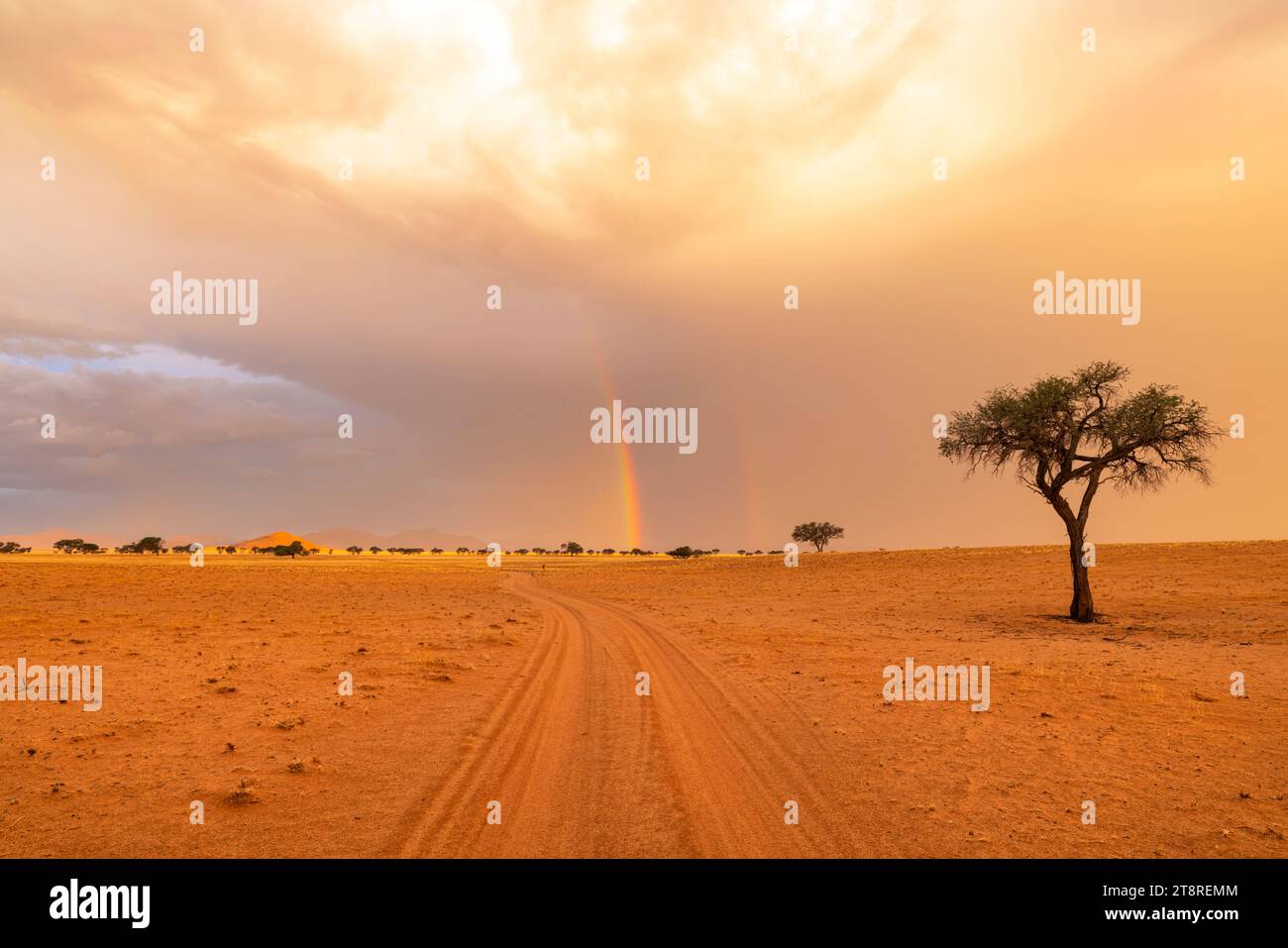 Rainbow after the rain in Namib Desert Namibia Stock Photo - Alamy