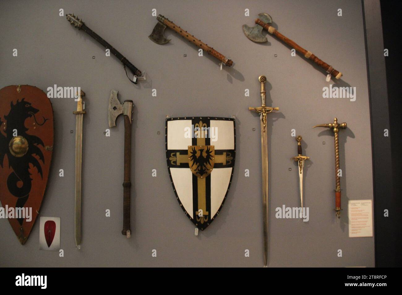 Shields museum hi-res stock photography and images - Alamy