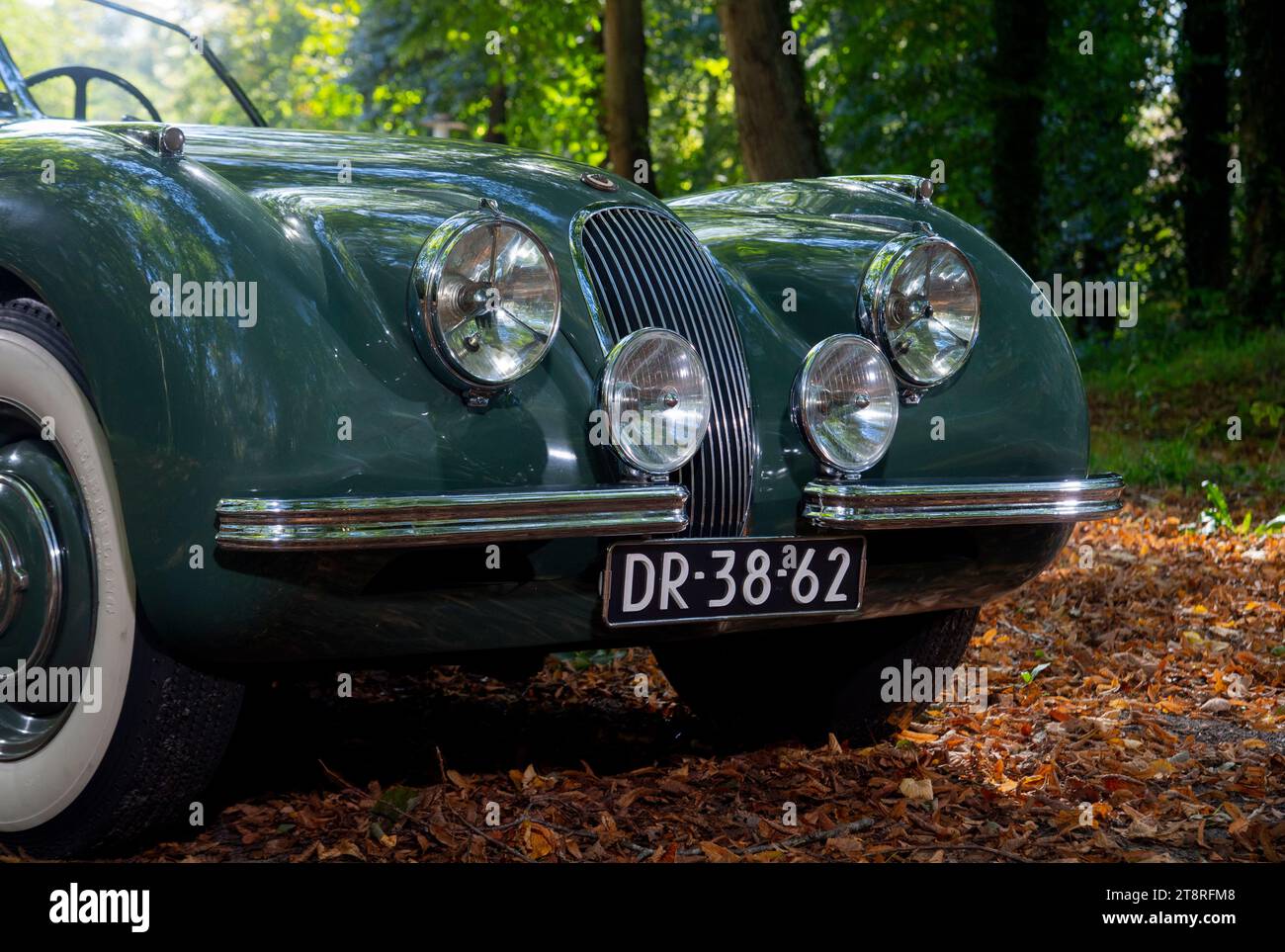 Early (1948) left hand drive Jaguar XK120 classic British sports car ...