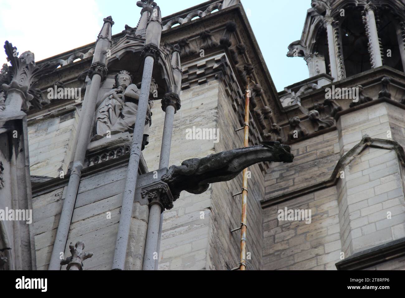 Cathedral Notre Dame de Paris Gargoyle, Paris, France Stock Photo - Alamy