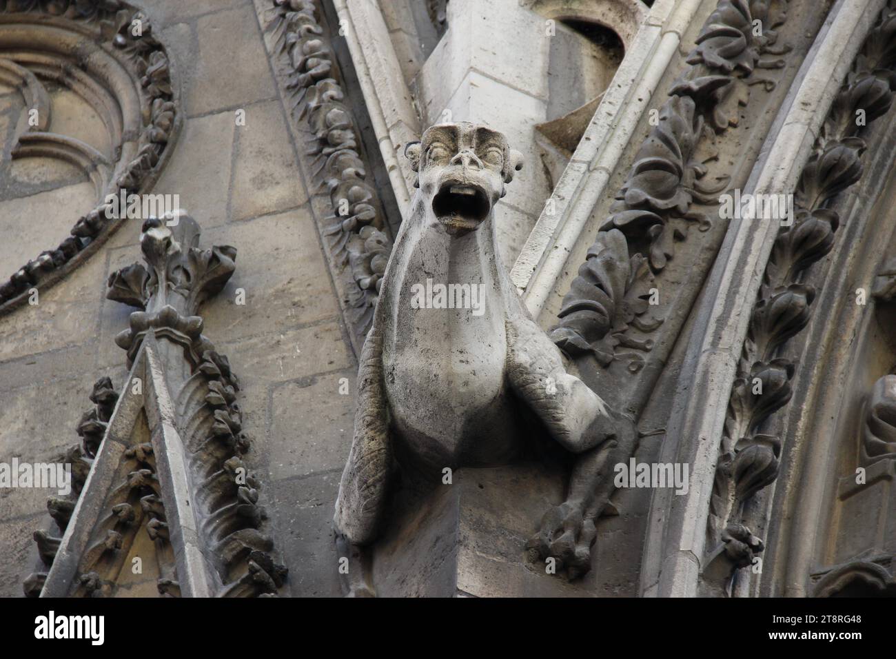 Cathedral Notre Dame de Paris Gargoyle, Paris, France Stock Photo - Alamy