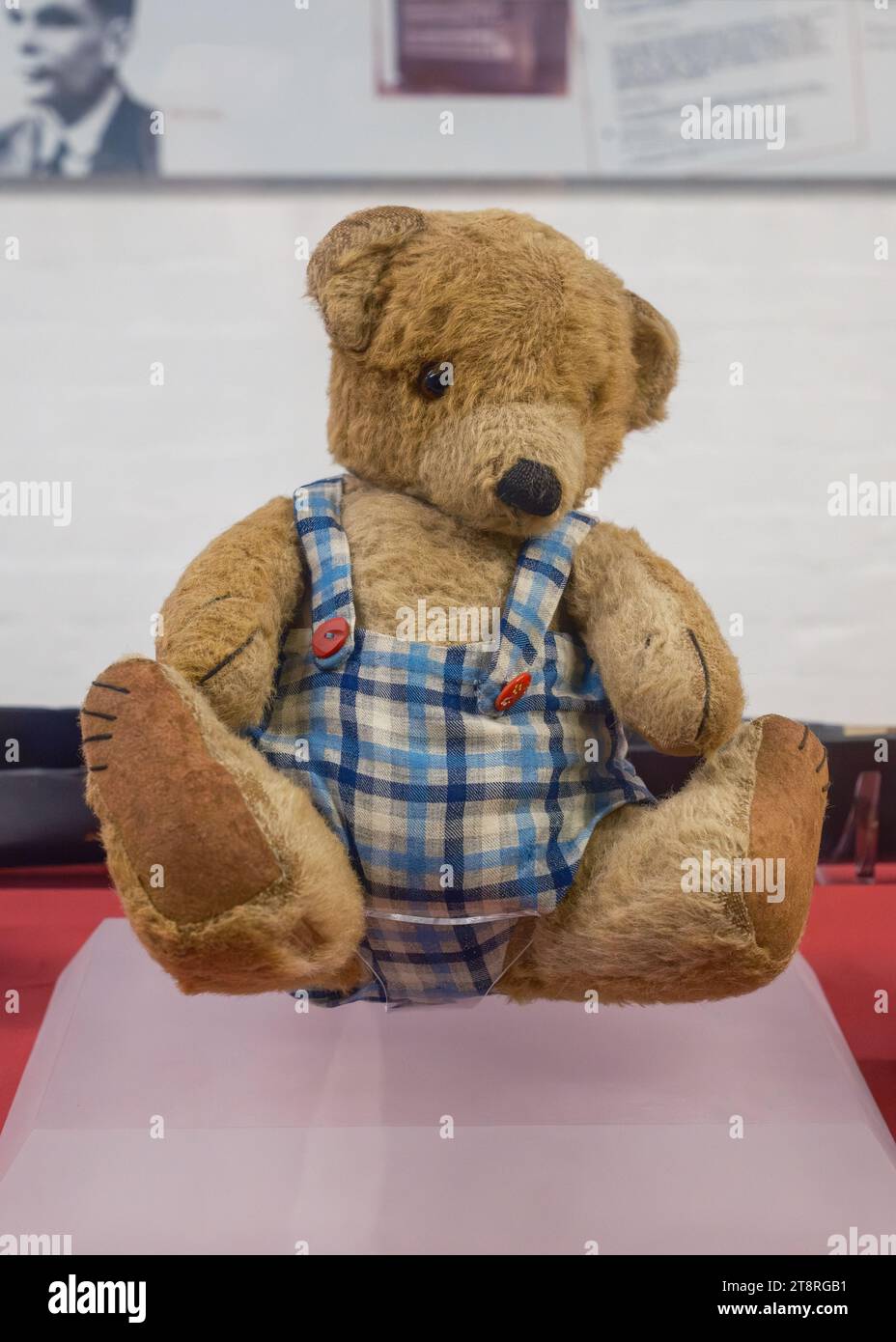 The teddy bear that once belonged to Alan Turing, on display at ...