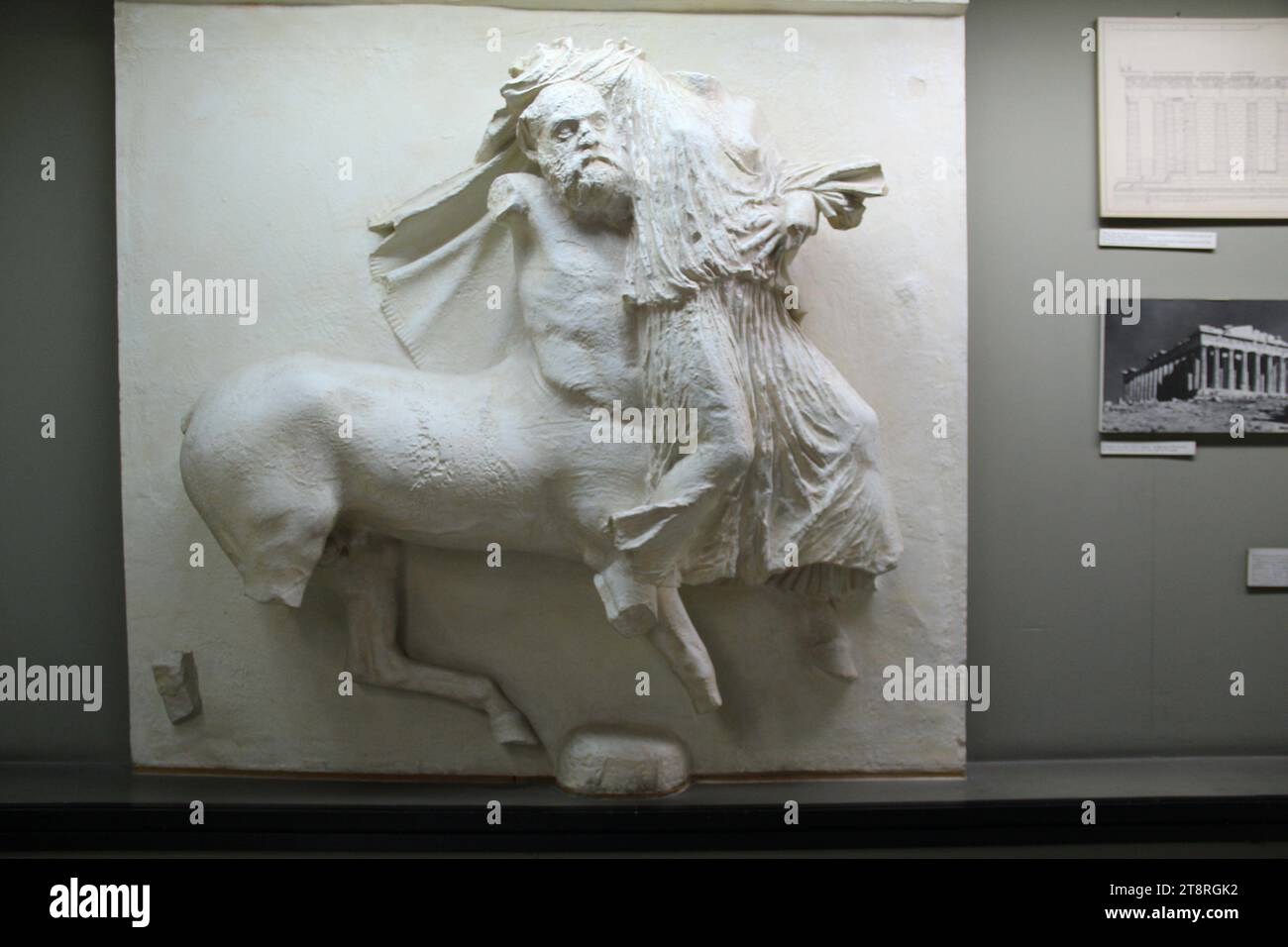 Hellenic War Museum Metope from Parthenon (Plaster Copy), Athens War ...