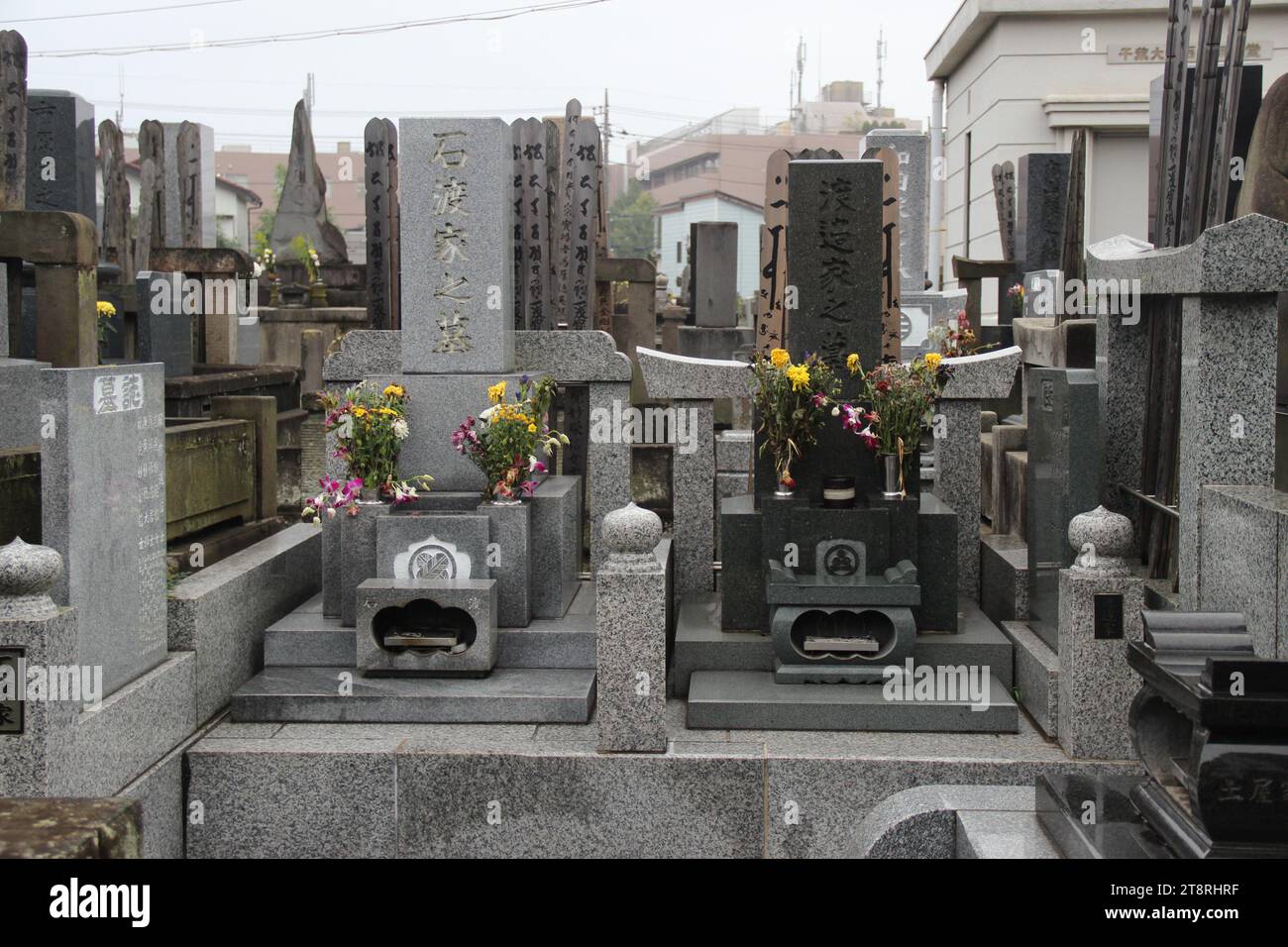 Chiba-dera Temple Cemetery, Shingon Buzan Sect of Buddhism, temple ...