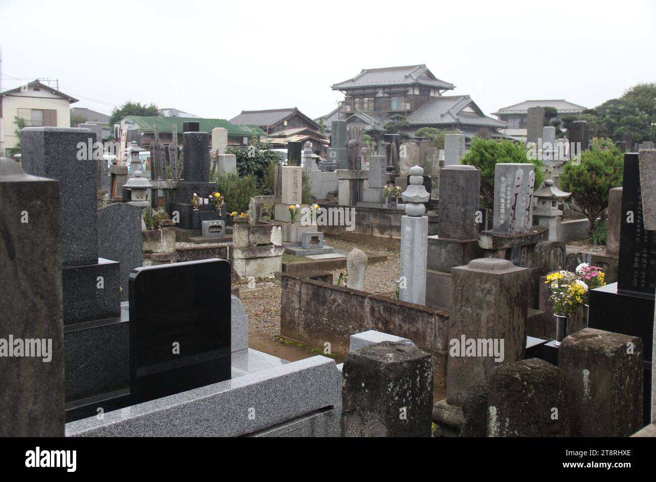Chiba-dera Temple Cemetery, Shingon Buzan Sect of Buddhism, temple ...