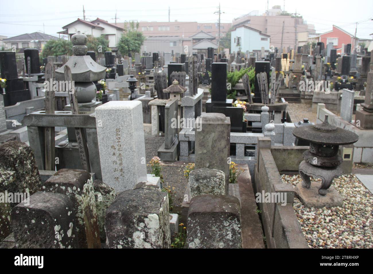 Chiba-dera Temple Cemetery, Shingon Buzan Sect of Buddhism, temple ...