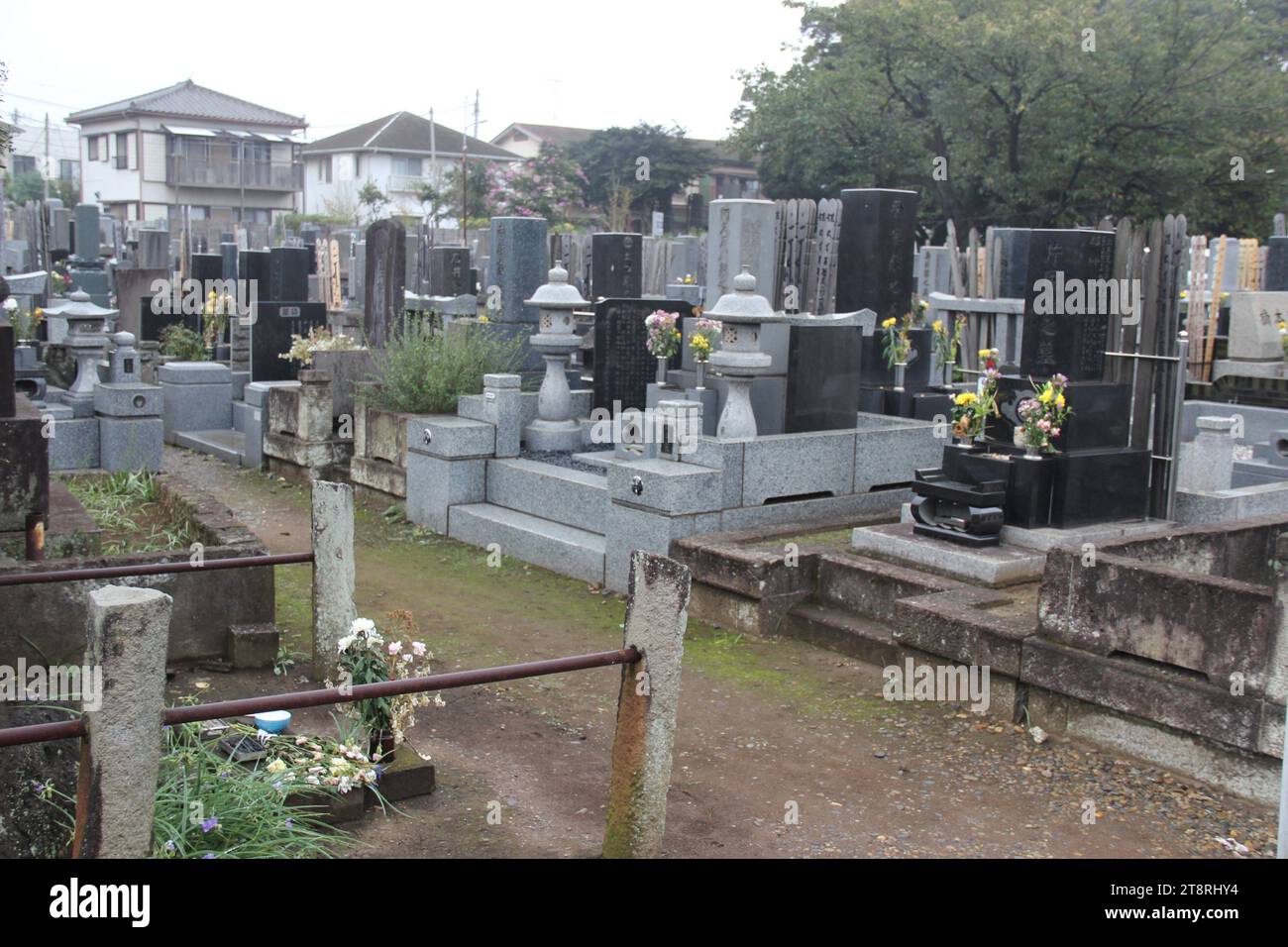 Chiba-dera Temple Cemetery, Shingon Buzan Sect of Buddhism, temple ...