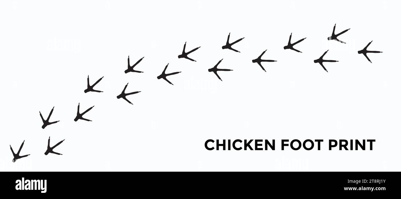 Chicken foot pattern Black and White Stock Photos & Images - Alamy