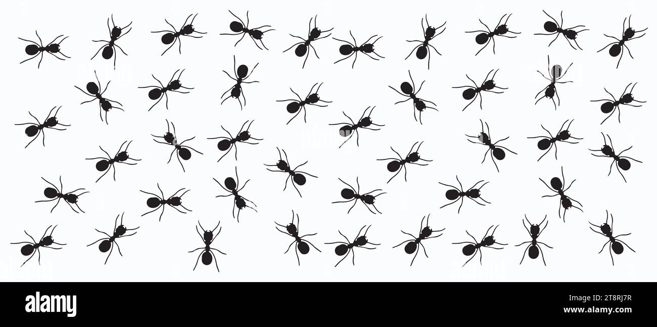 Insect Insects Ant Ants Emmet Pismire Banner Vector Icon Icons Sign Signs Fun Funny A Line Of