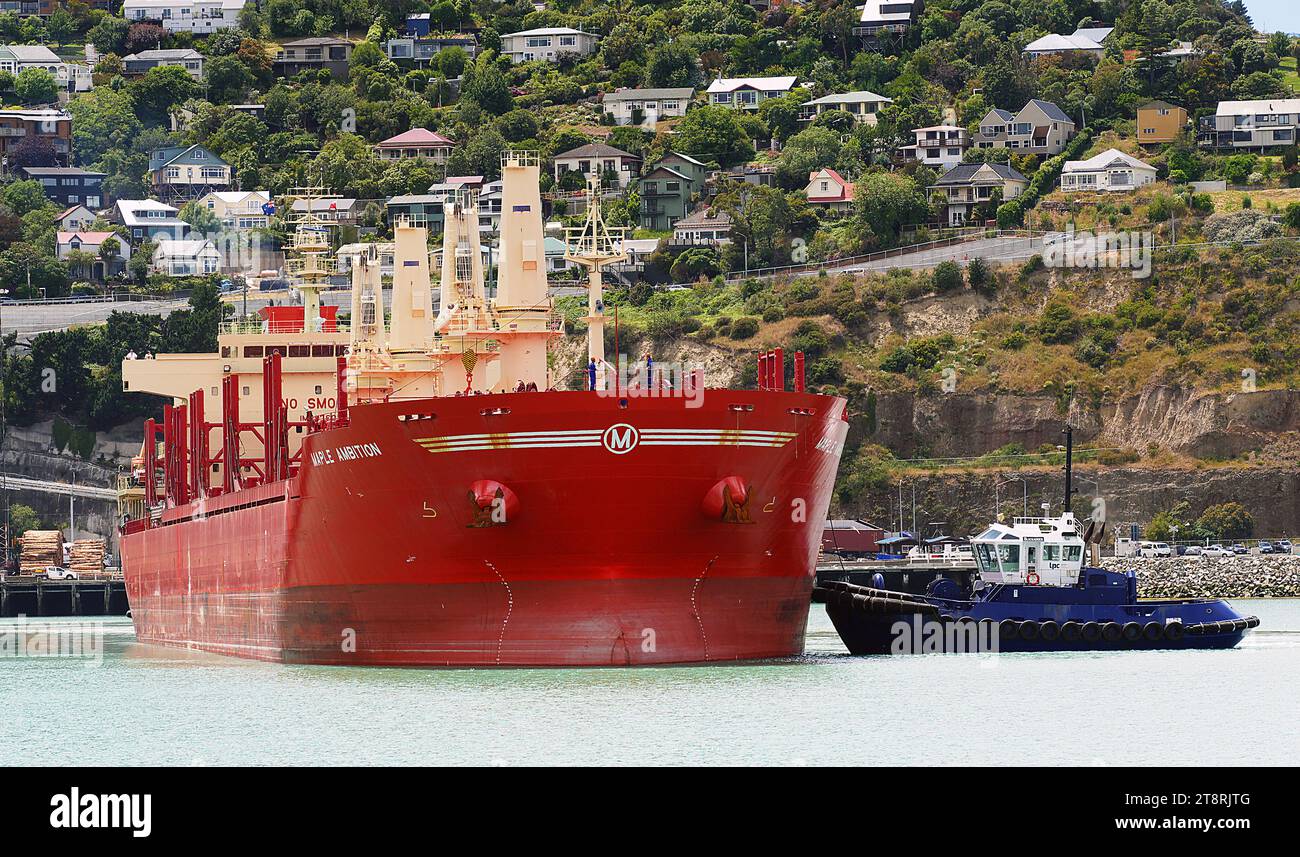 MAPLE AMBITION (Bulk Carrier), MAPLE AMBITION is a Bulk Carrier ...