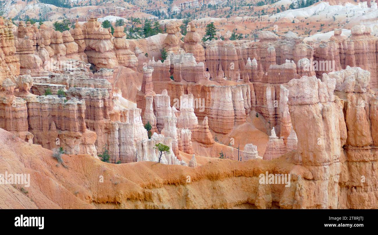 Hoodoos. Bryces Canyon Utah, Hoodoos are tall skinny spires of rock ...