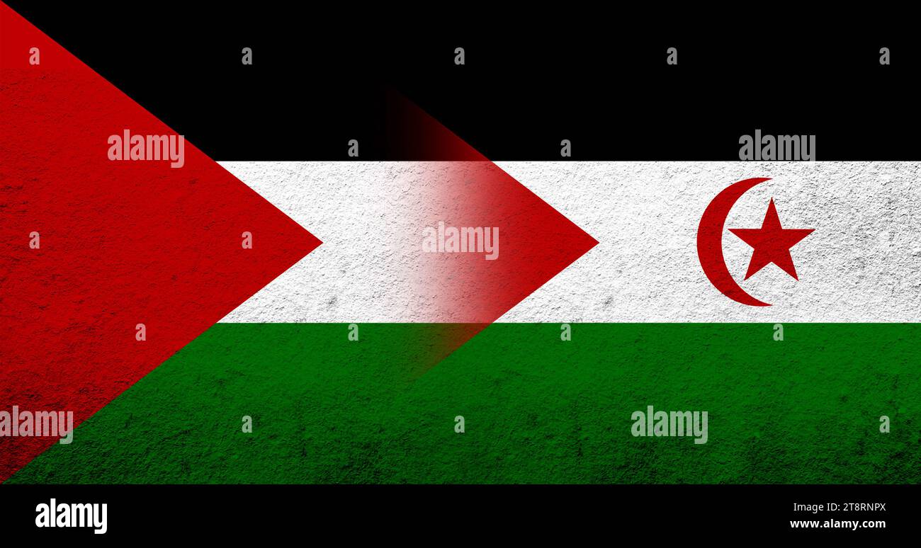 Flag of Palestine and The Sahrawi Arab Democratic Republic (Western ...