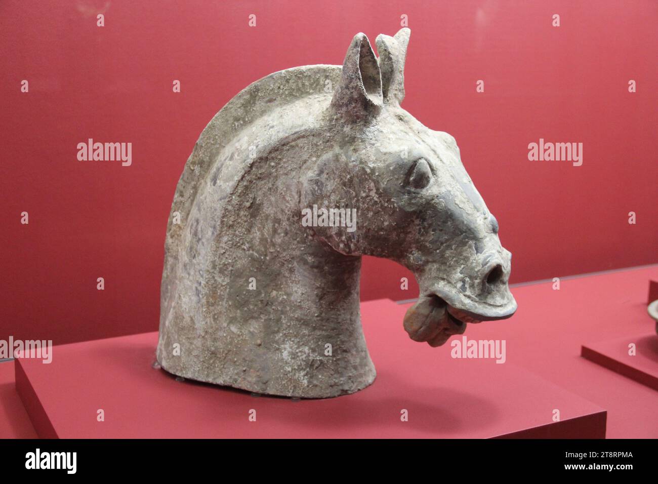 Western Han Pottery Horse Head, Pottery and Porcelain Gallery, Palace ...