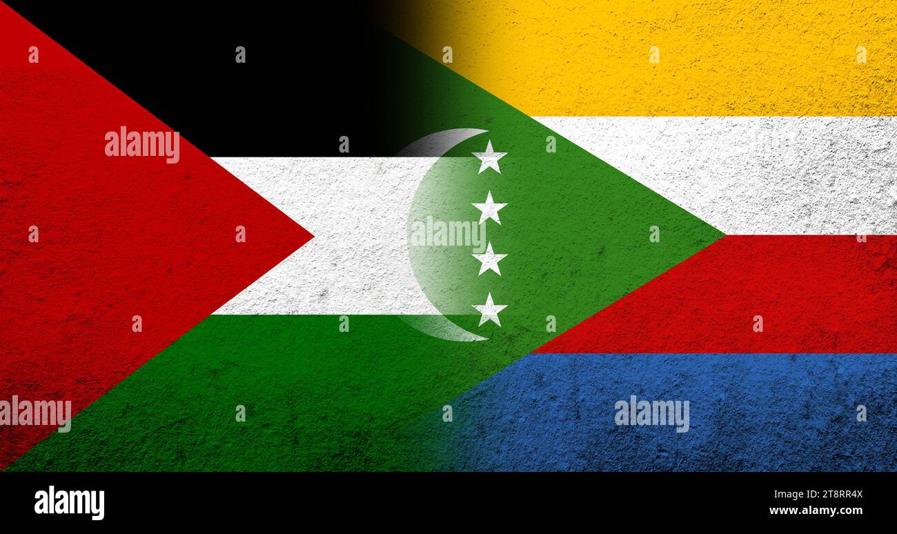 Flag of Palestine and The Union of the Comoros National flag. Grunge ...