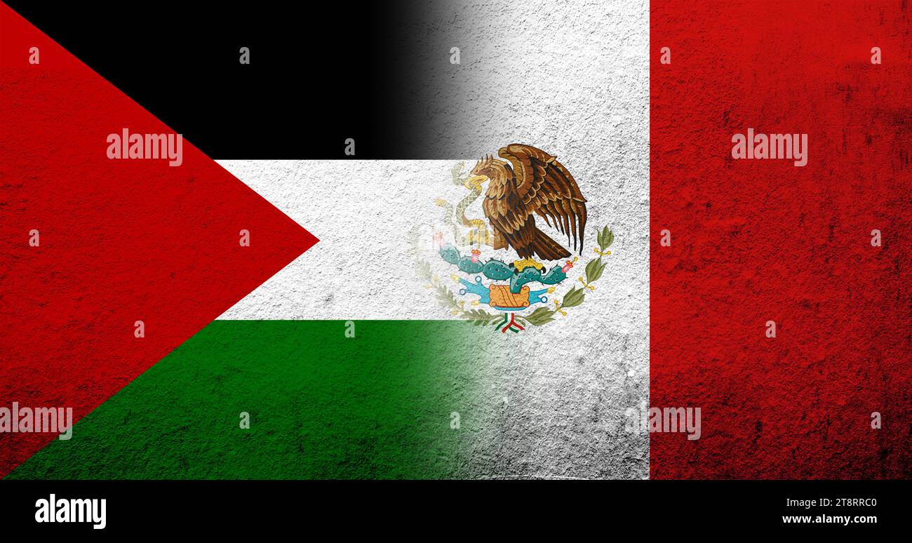 Flag of Palestine and The United Mexican States (Mexico) National flag ...