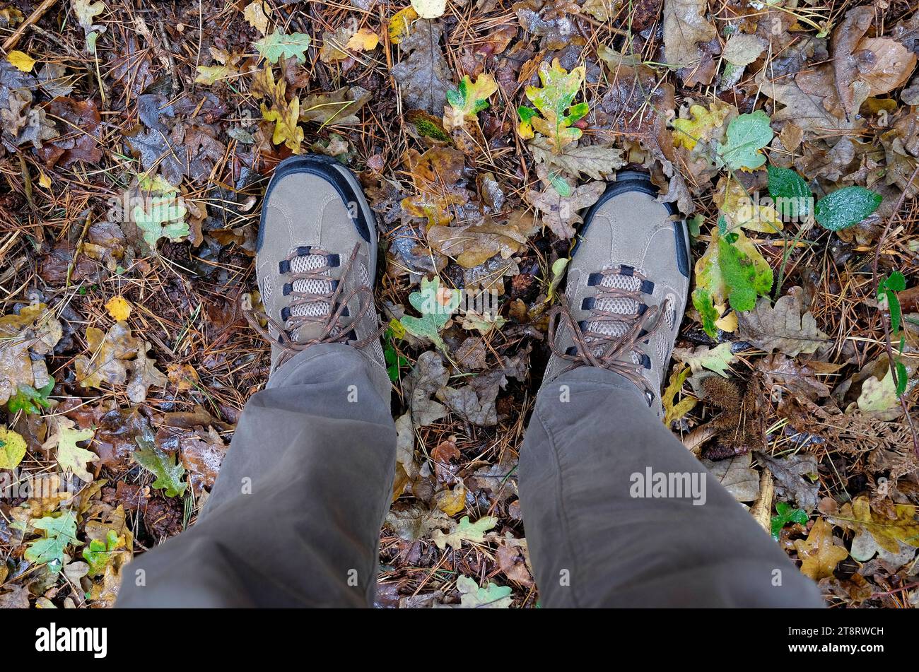 Person standing on feet hi-res stock photography and images - Alamy