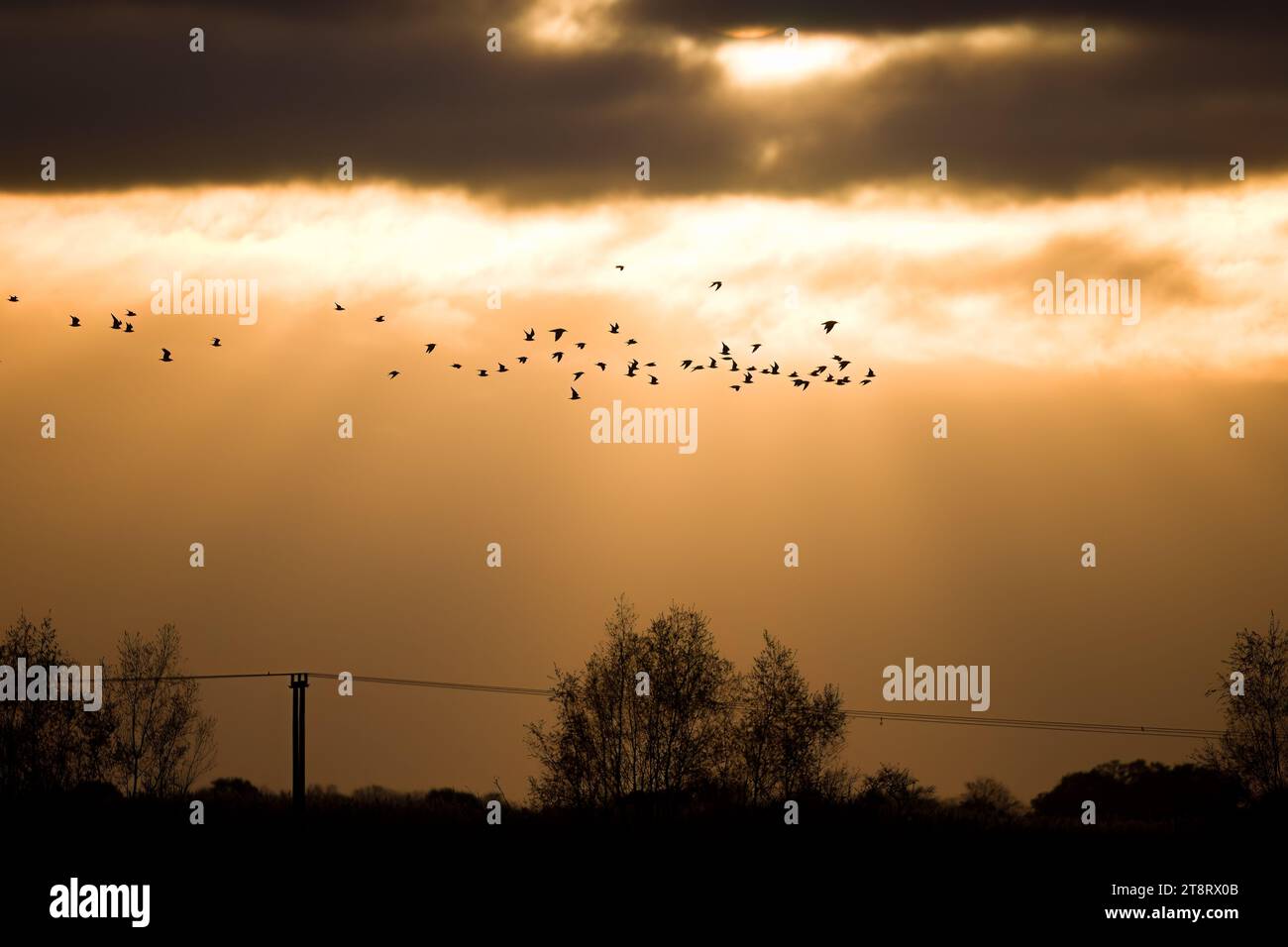 Burwell burwell hi-res stock photography and images - Alamy