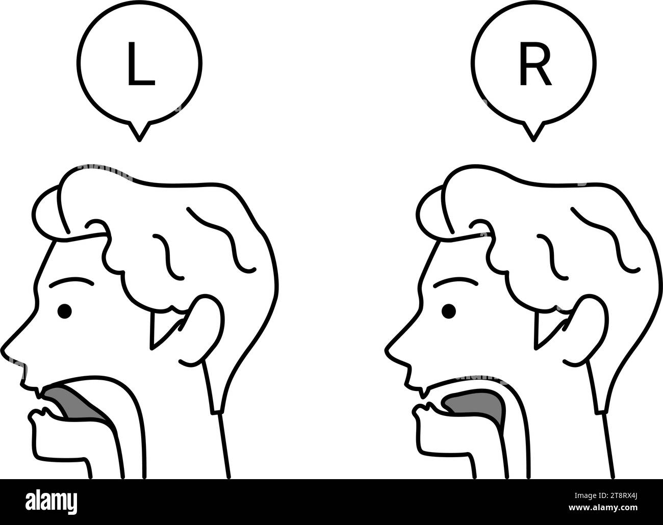 Illustration of tongue movement for English conversation, l and r ...