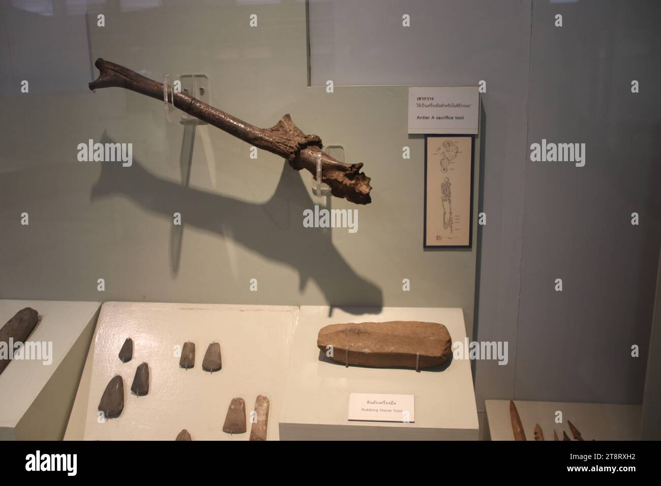 Neolithic tools antler hi-res stock photography and images - Alamy