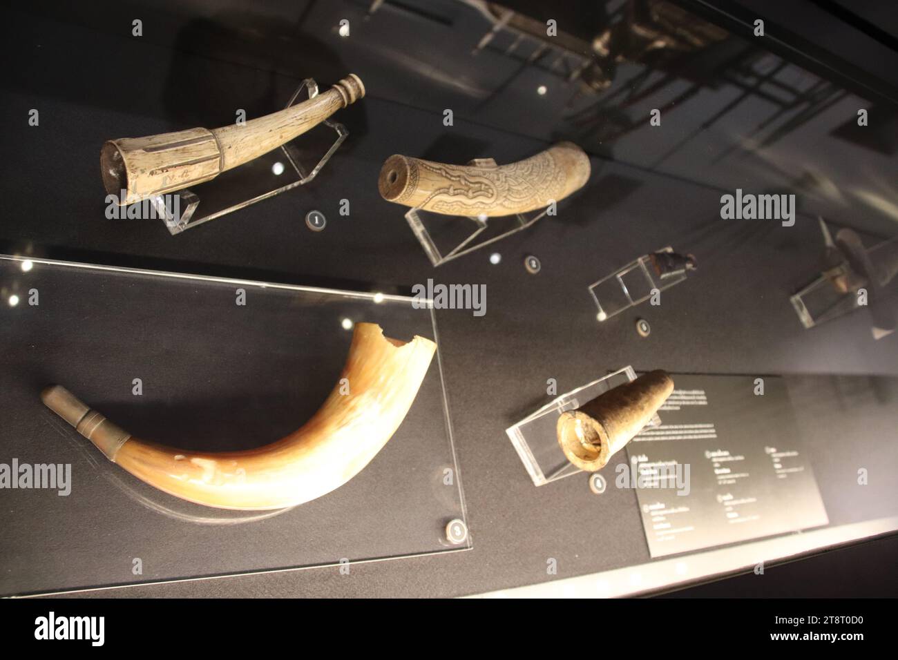 Thai Powder Horns, Arms and Armour Gallery, National Museum of Thailand ...