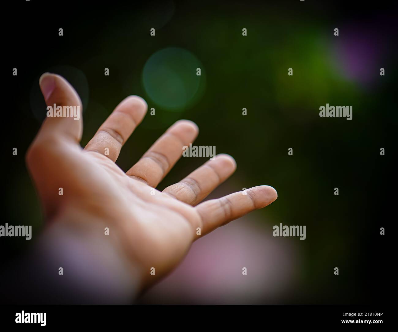 cute cat thumbi water drops wine Stock Photo - Alamy