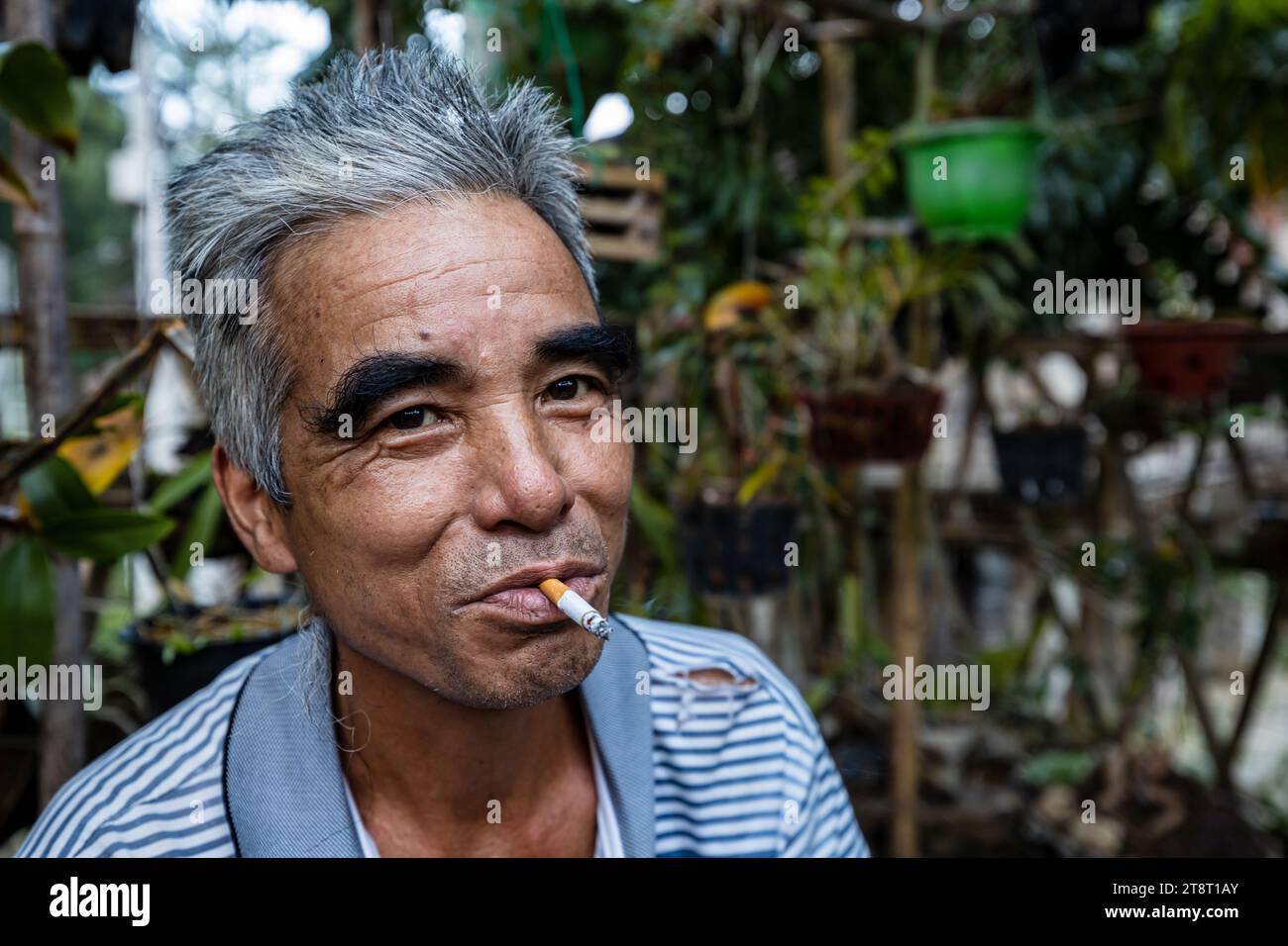 Portrait of vietnamese People in North Vietnam Stock Photo - Alamy