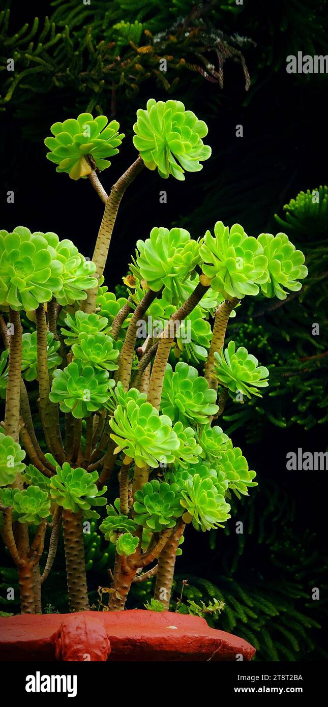 GREEN NATURE WATER LAND Stock Photo - Alamy