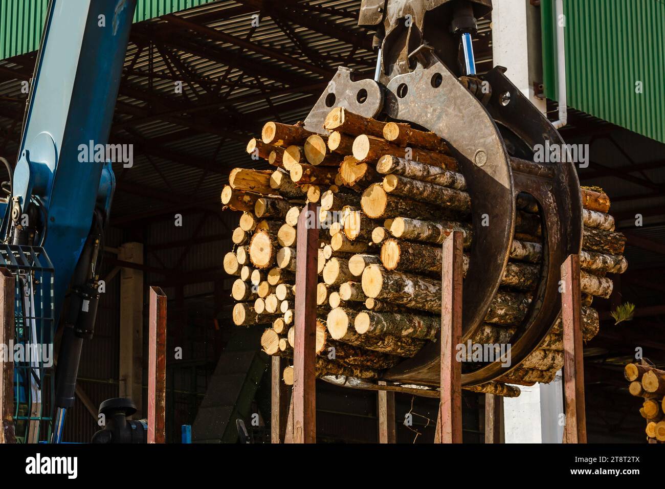 Log loader or forestry machine loads a log truck Stock Photo - Alamy