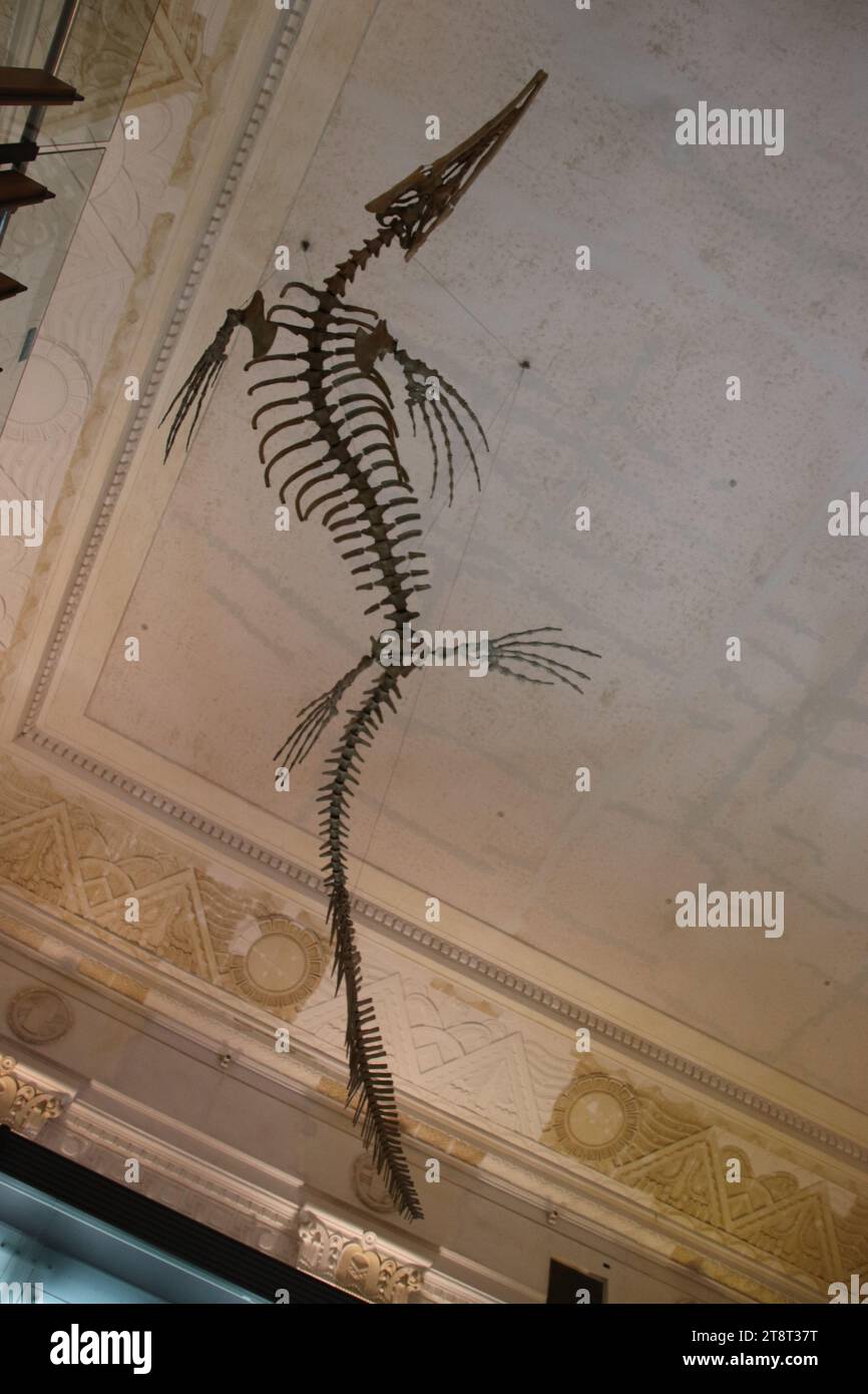 Mosasaur Skeleton, Land Bank Exhibition Hall, National Taiwan Museum ...