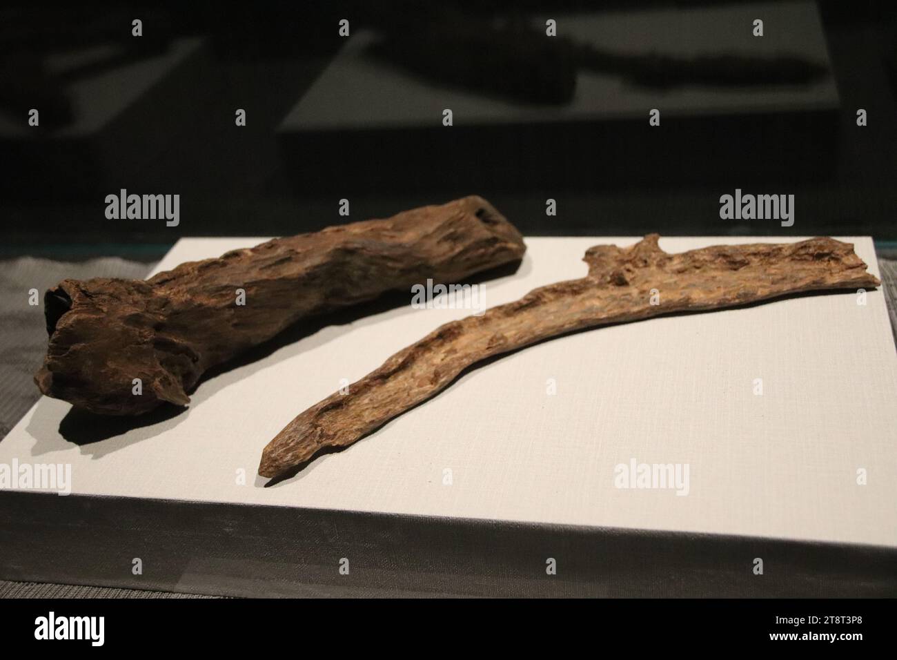 Incense from Various Regions, Special Exhibit, Agarwood and the Culture ...