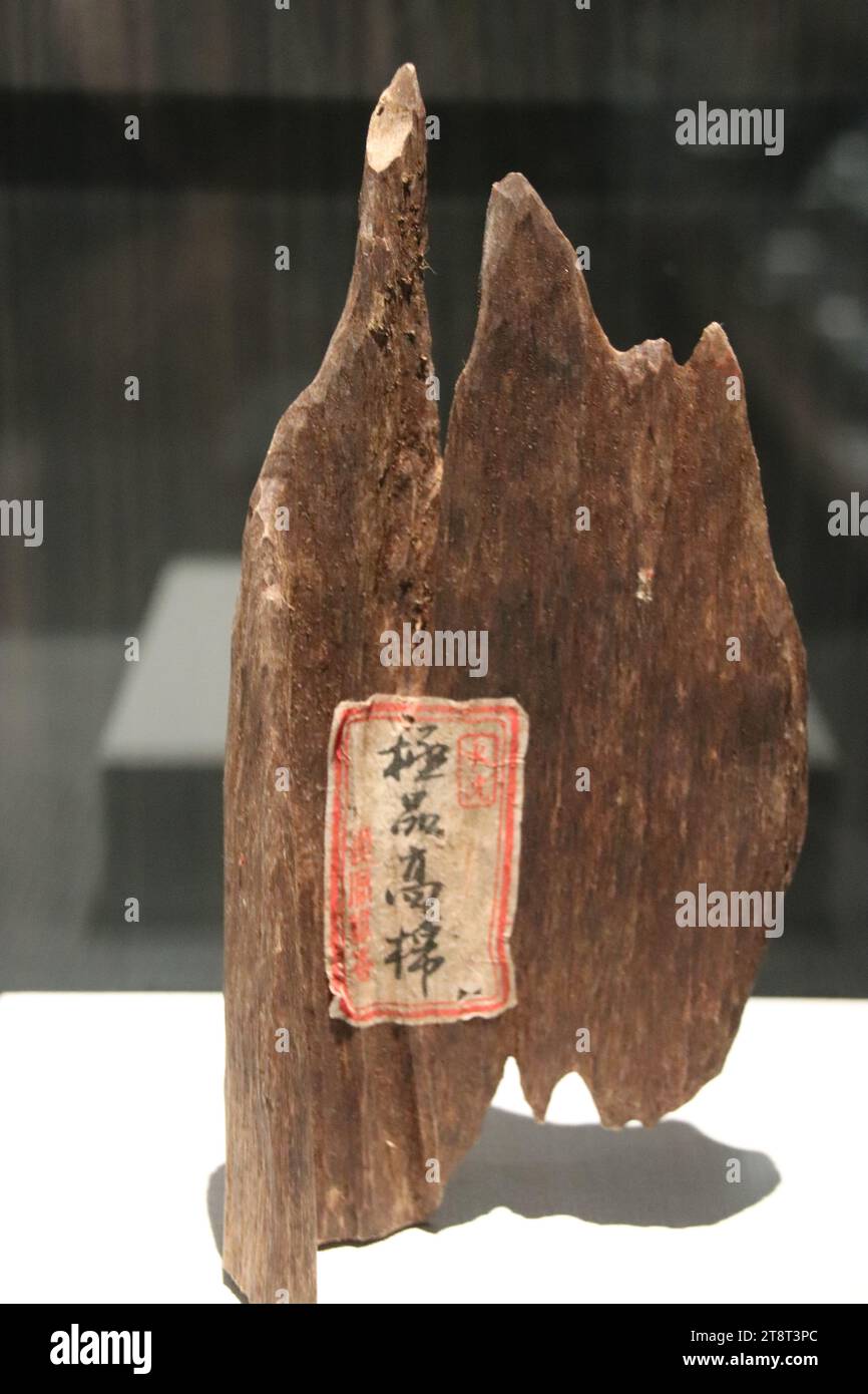 Incense from Various Regions, Special Exhibit, Agarwood and the Culture ...