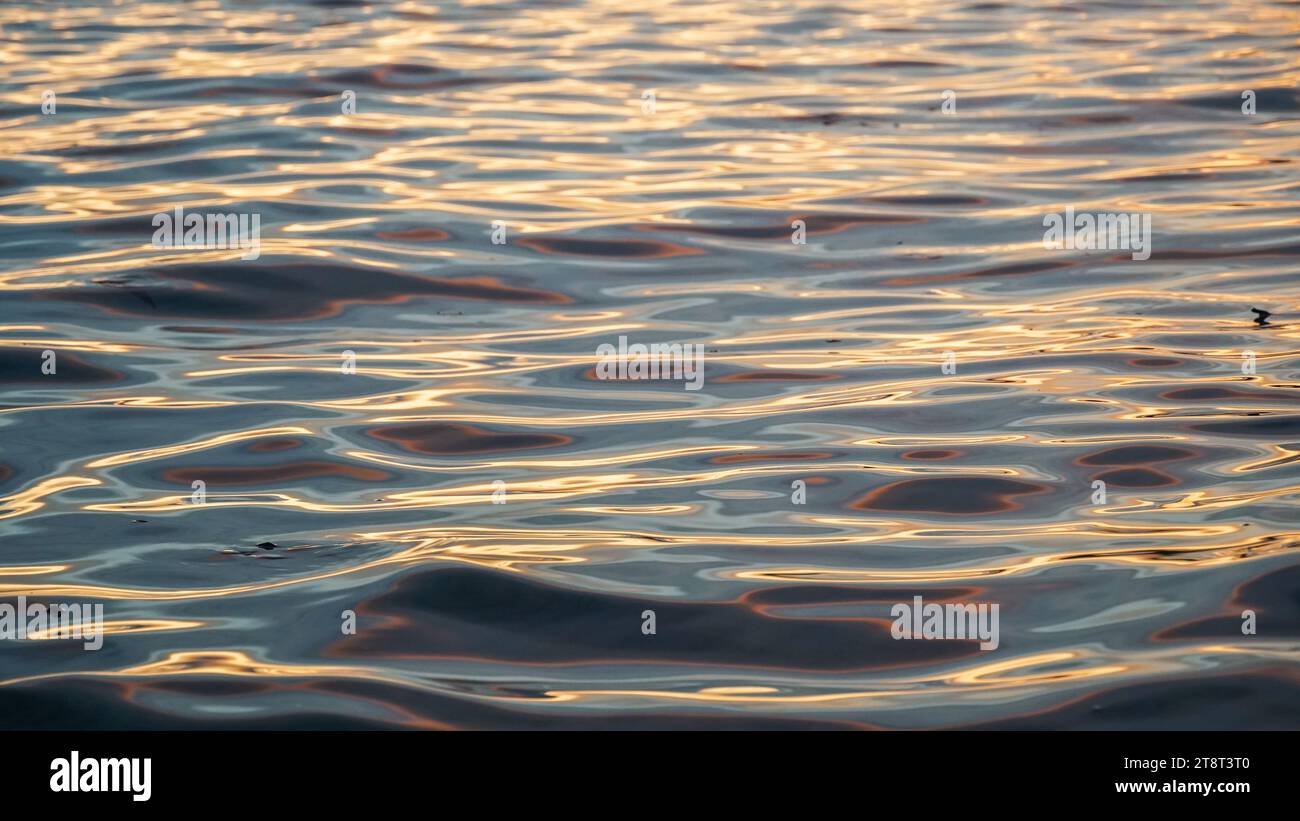 Beautiful close up sea water surface. Close-up of golden water with ...