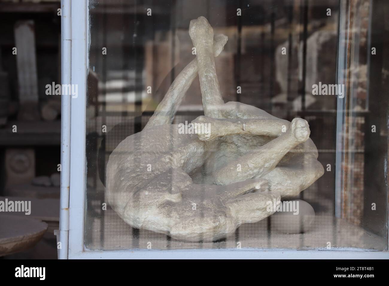 Pompeii Ruins: Cast of Canine Victim, Remains of Roman city buried by ...